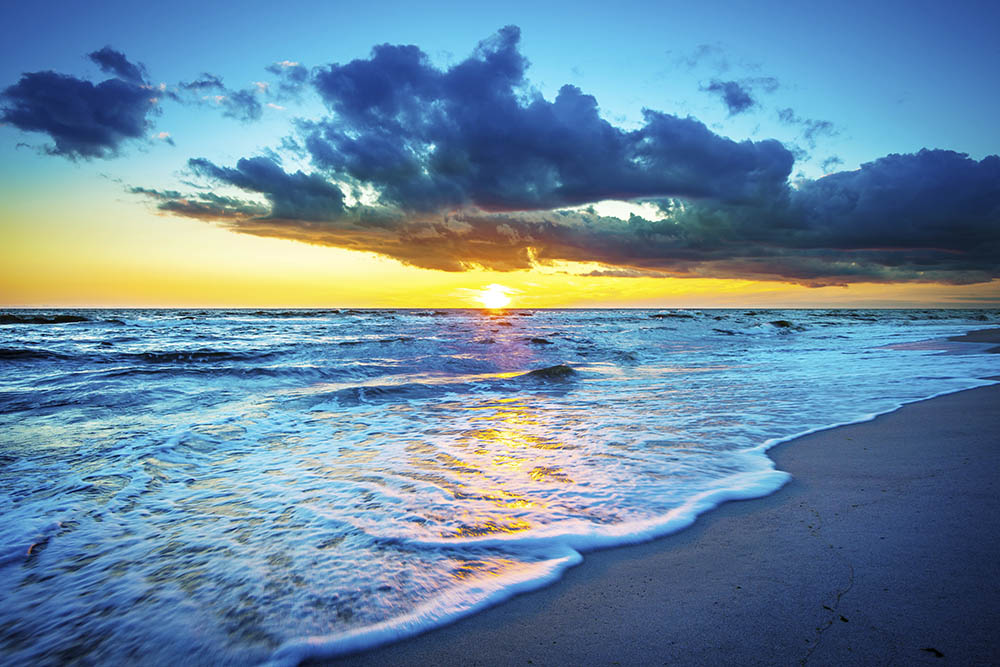 Rent Premier SIR | Home